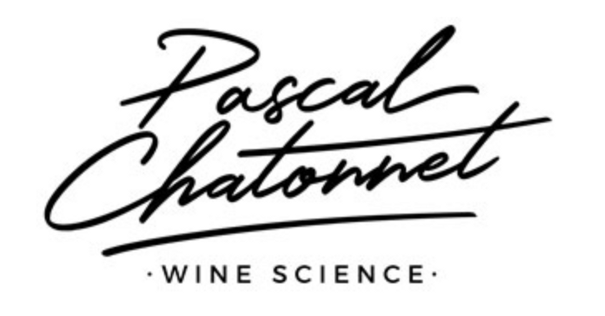 Pascal Chatonnet Conseil – dionysal sarl chatonnet